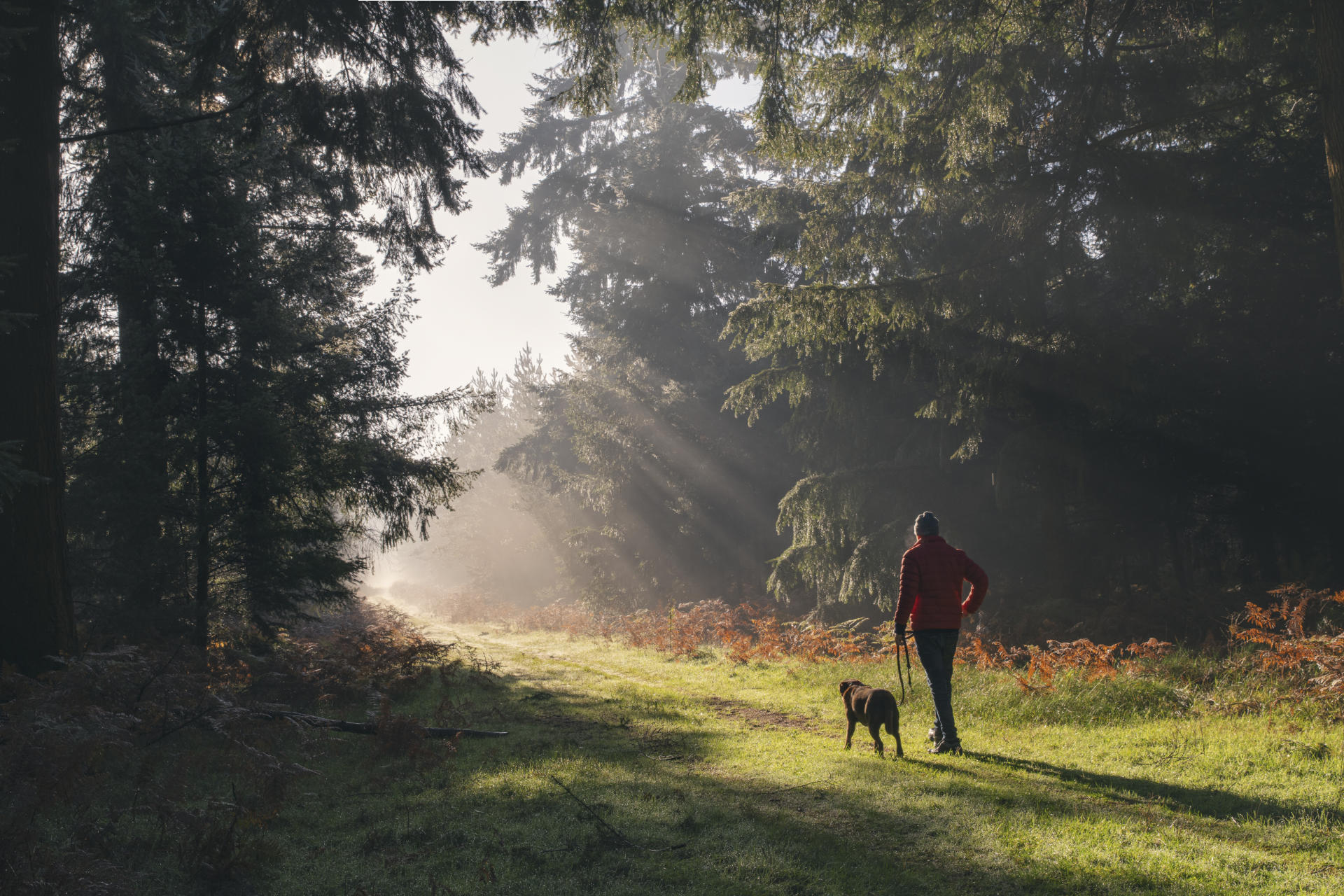 Strengthening our Mental Health