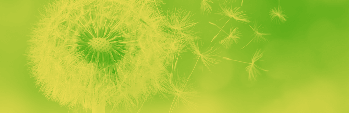 Release potential with your unrealised strengths